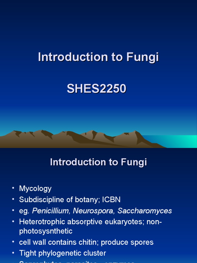 Introduction To Fungi | PDF | Mold | Fungus