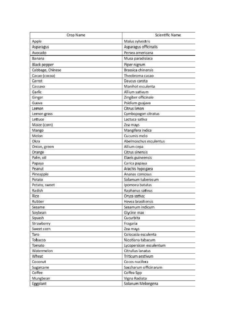 Plants Scientific Names | PDF