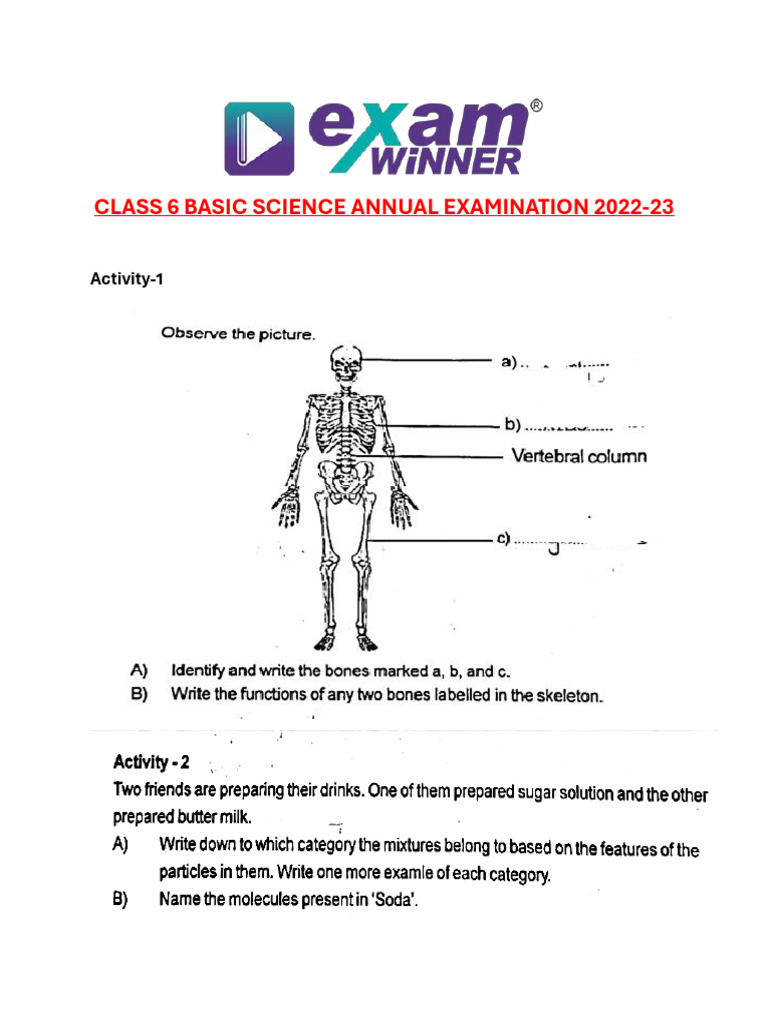Class 6 Basic Science Annual Examination 2022 | PDF