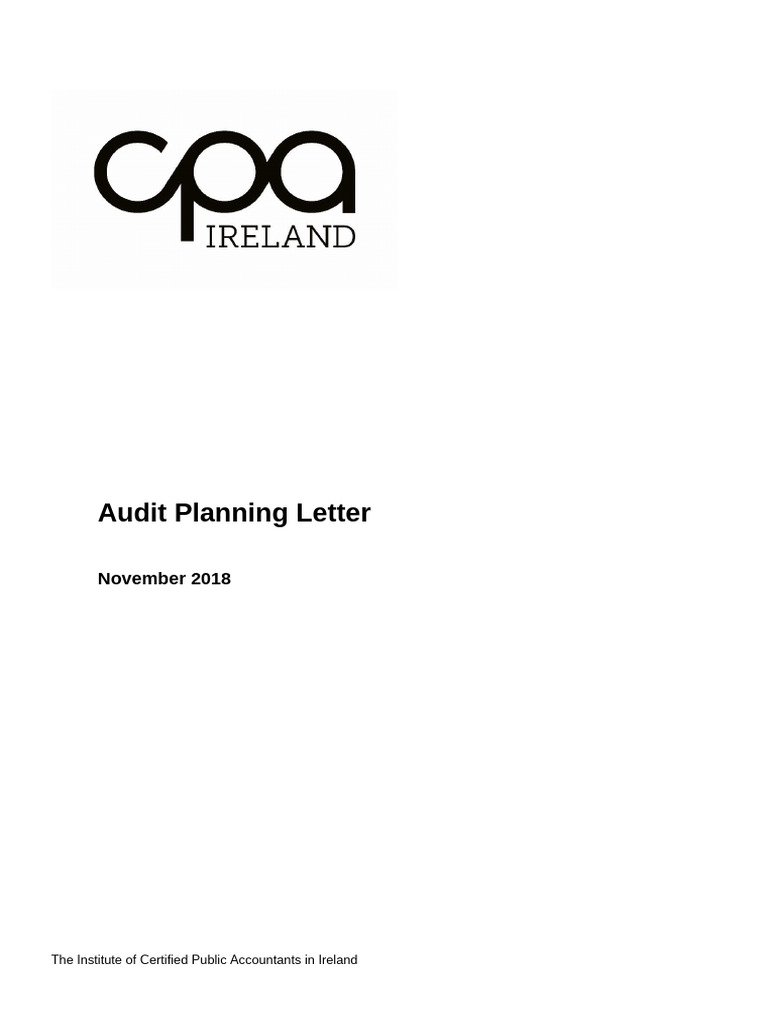 Audit Planning Overview for XYZ Limited | PDF