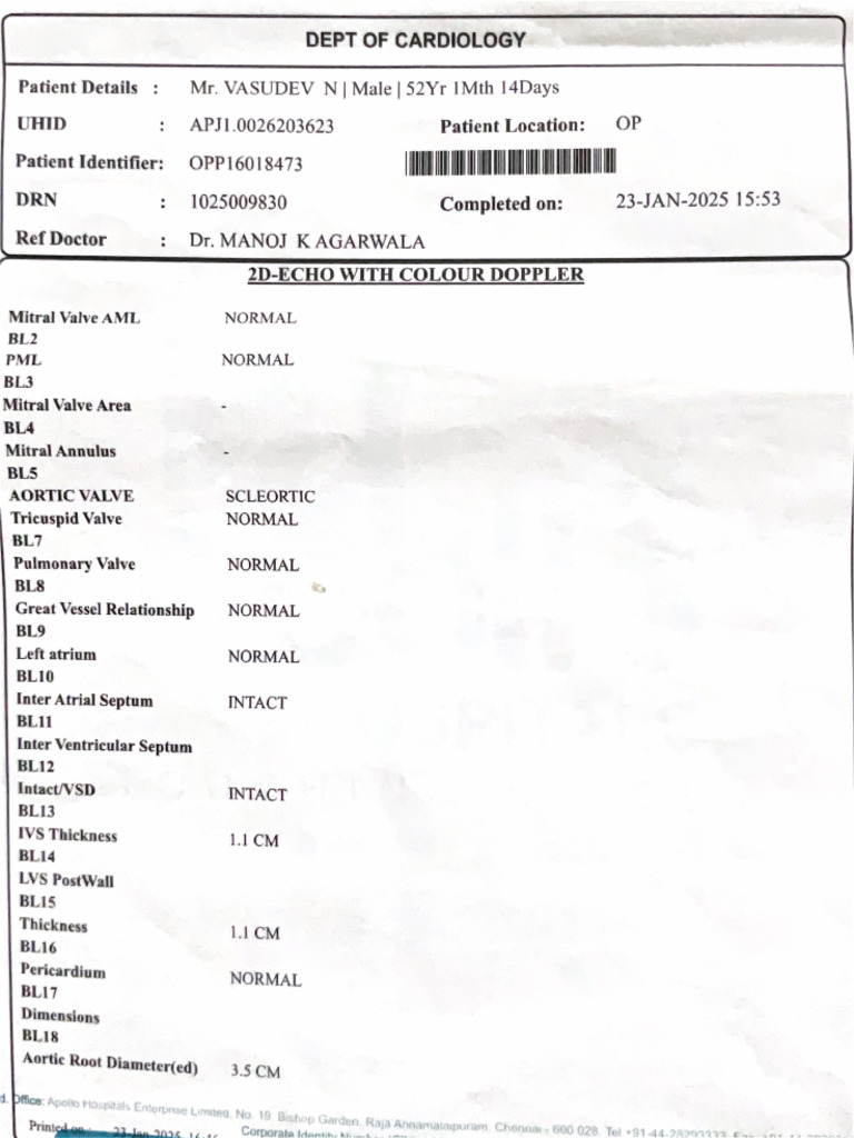 Manoj Agarwal Jan 2025 Report 1 | PDF