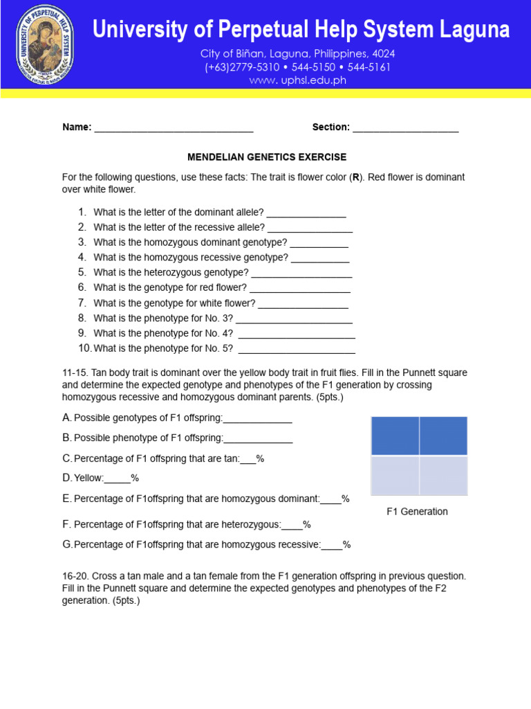Mendelian Genetics Exercise | PDF | Dominance (Genetics) | Genotype