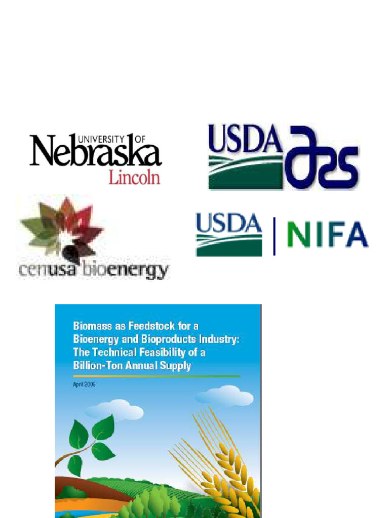 Switchgrass, Energy, Bioenergy, Genetics, | PDF | Renewable Fuels ...