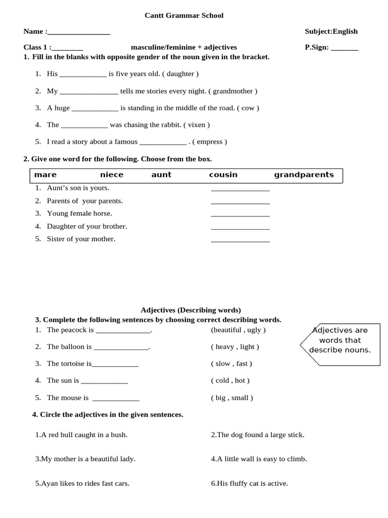 Masculine Feminine Worksheet | PDF