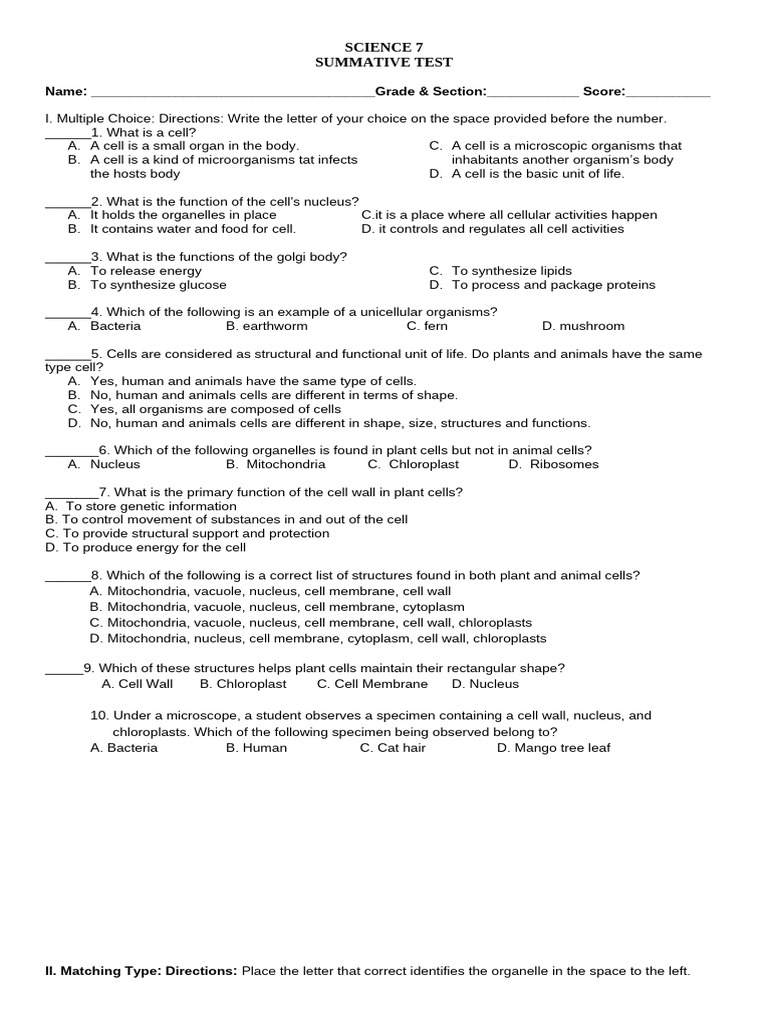 Animal and Plant Cell Assessment | PDF | Cell (Biology) | Organelle