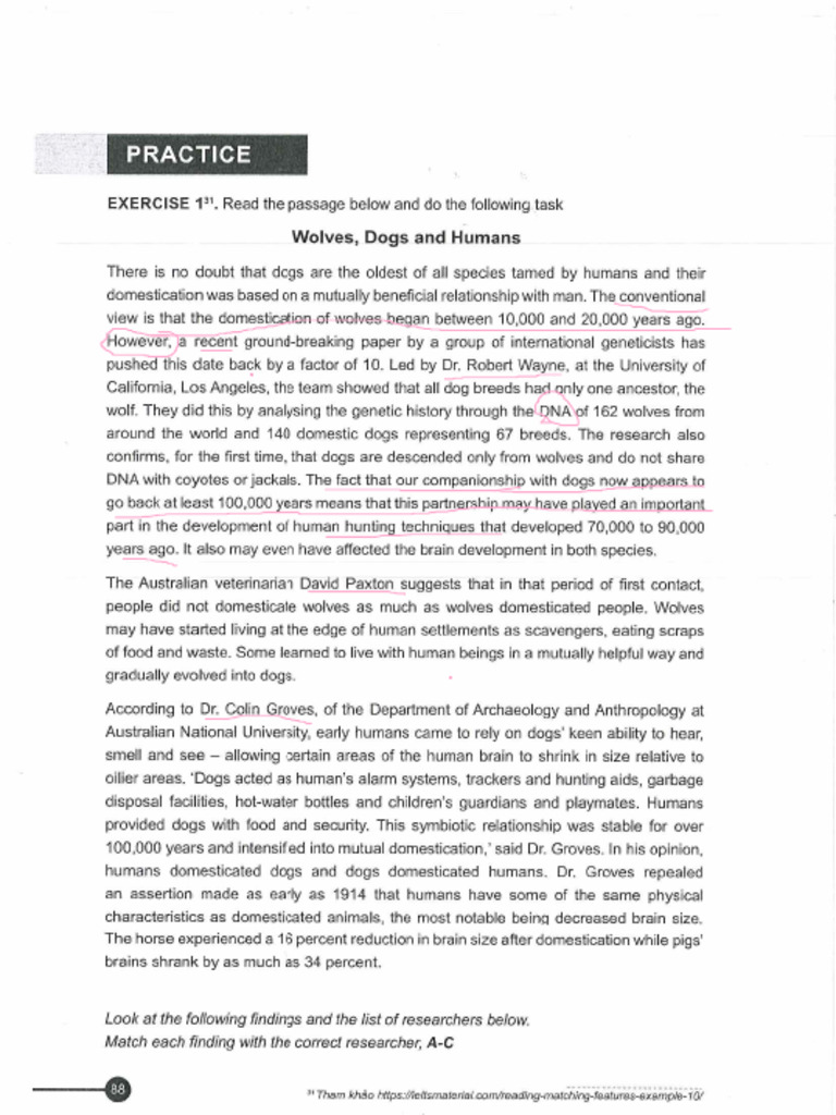 Matching Features (20250216 - 113924) | PDF