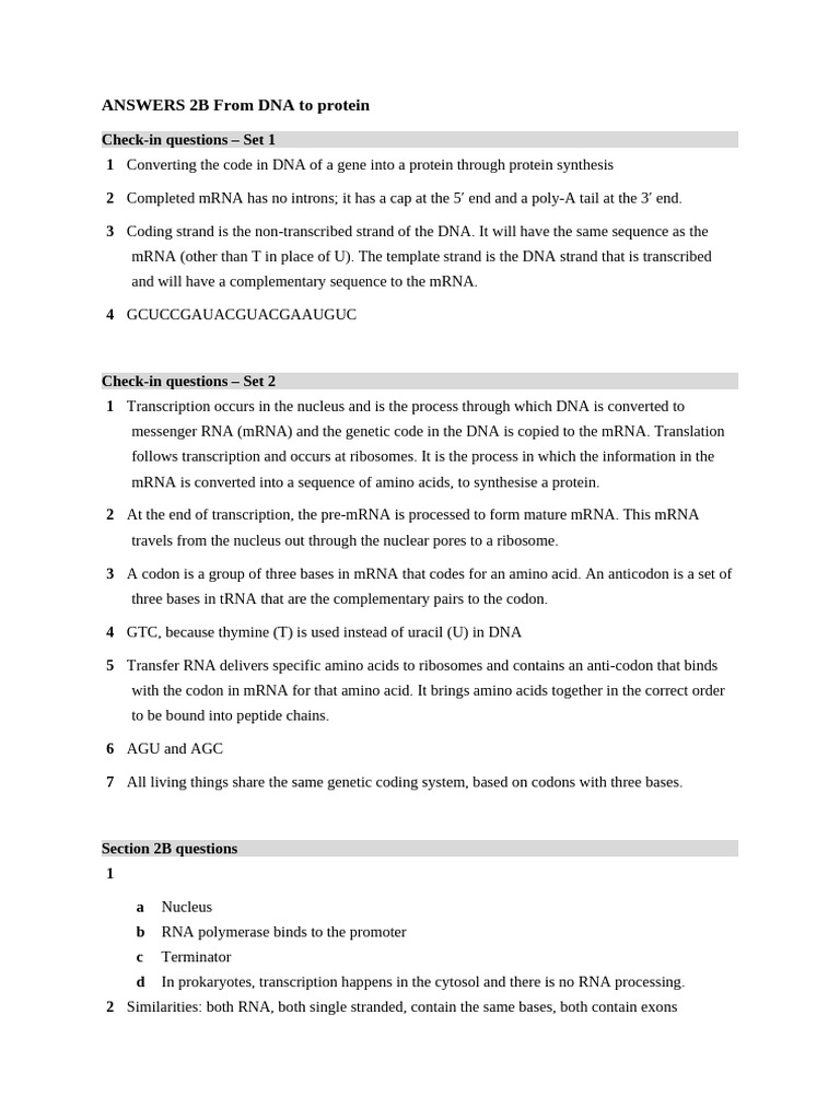 2B From DNA To Protein ANSWERS | PDF | Messenger Rna | Translation (Biology)