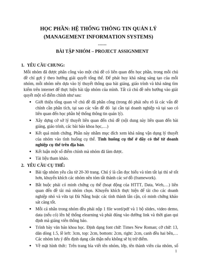 MIS-Group Assignment_SE2_2024-2025 | PDF