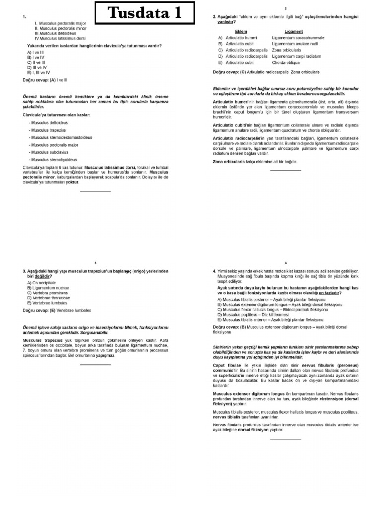 Anatomi 20-21-22 Ddd | PDF