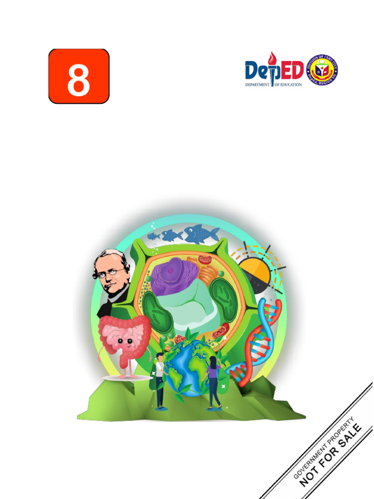 Science 8 Quarter 4 Module 7 | PDF | Food Web | Foods