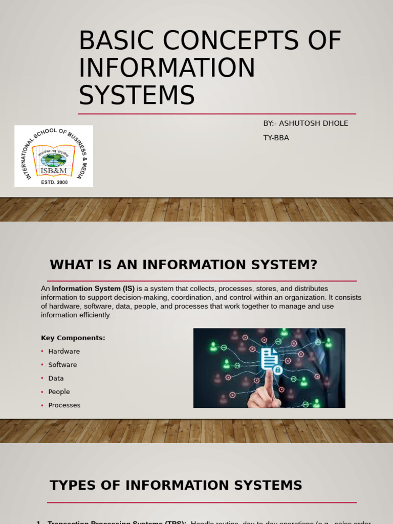 Understanding Information Systems Basics | PDF | Information System | System