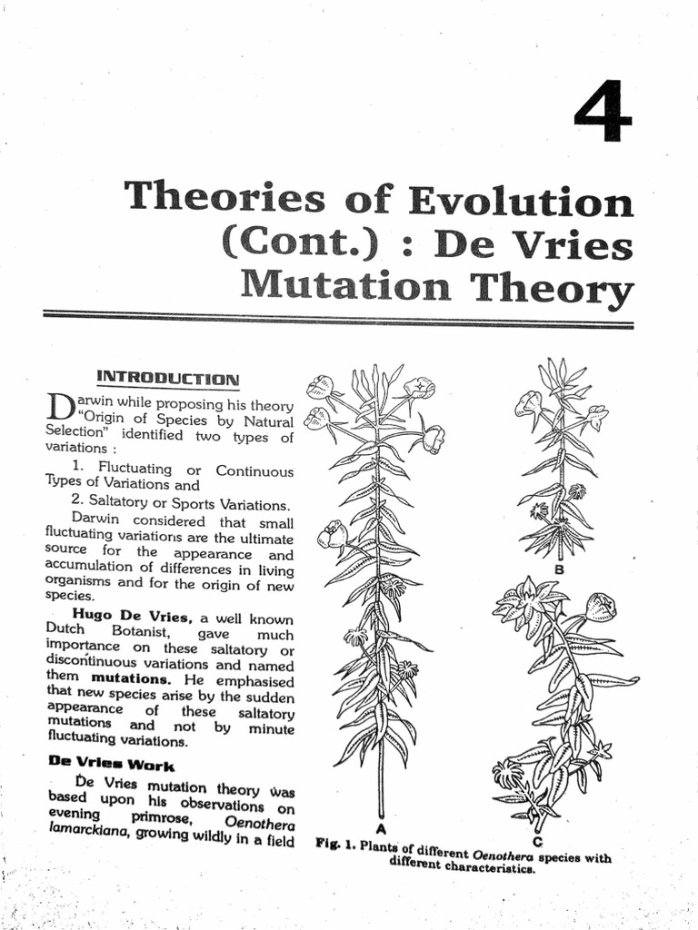 Theories of Evolution-De Vries Mutation | PDF