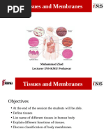 Chapter 4 Tissues Power Point | PDF | Tissue (Biology) | Epithelium