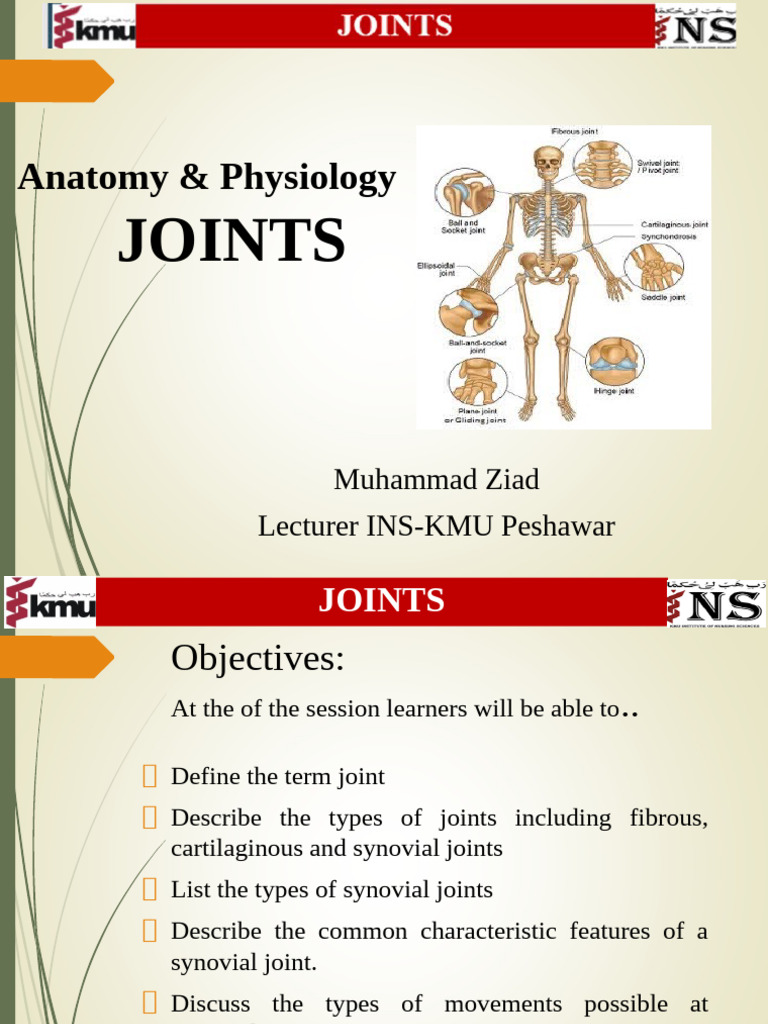 Lecture 6 A&p Joints | PDF | Anatomical Terms Of Motion | Joint