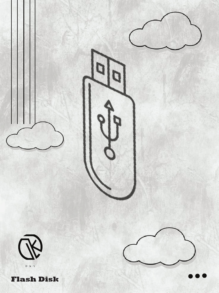 Flash Disk | PDF