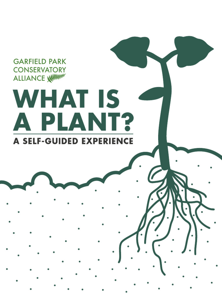 Understanding Plant Structures | PDF | Plants | Leaf