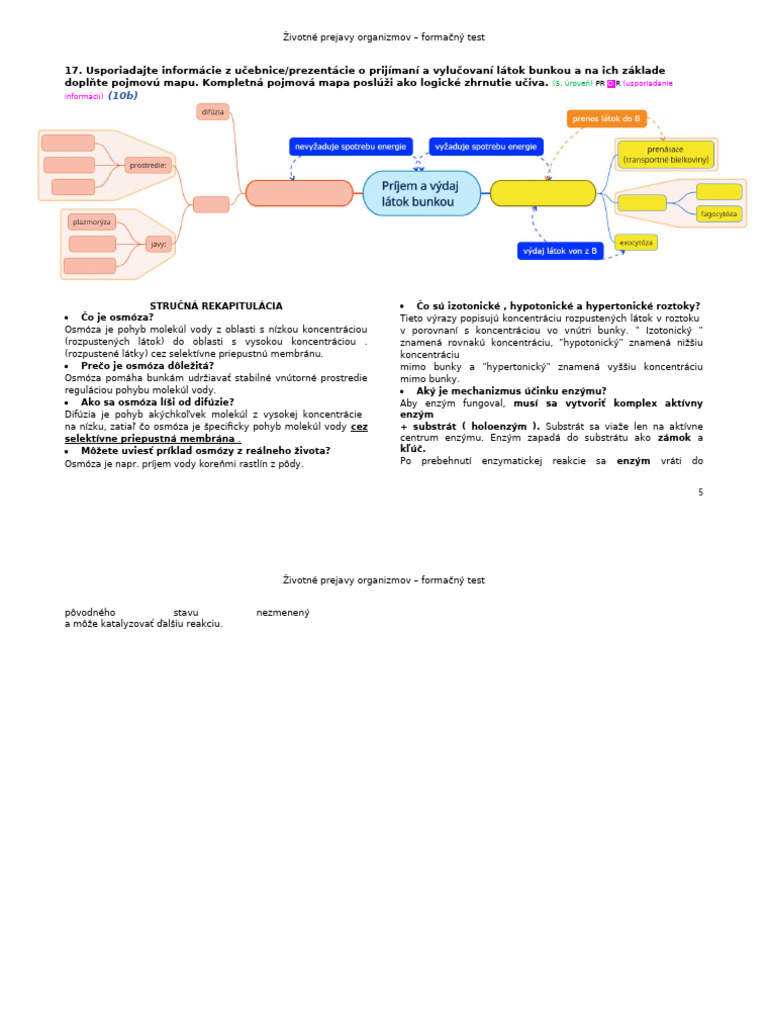 Pojmová Mapa Pre Ukrajincov | PDF