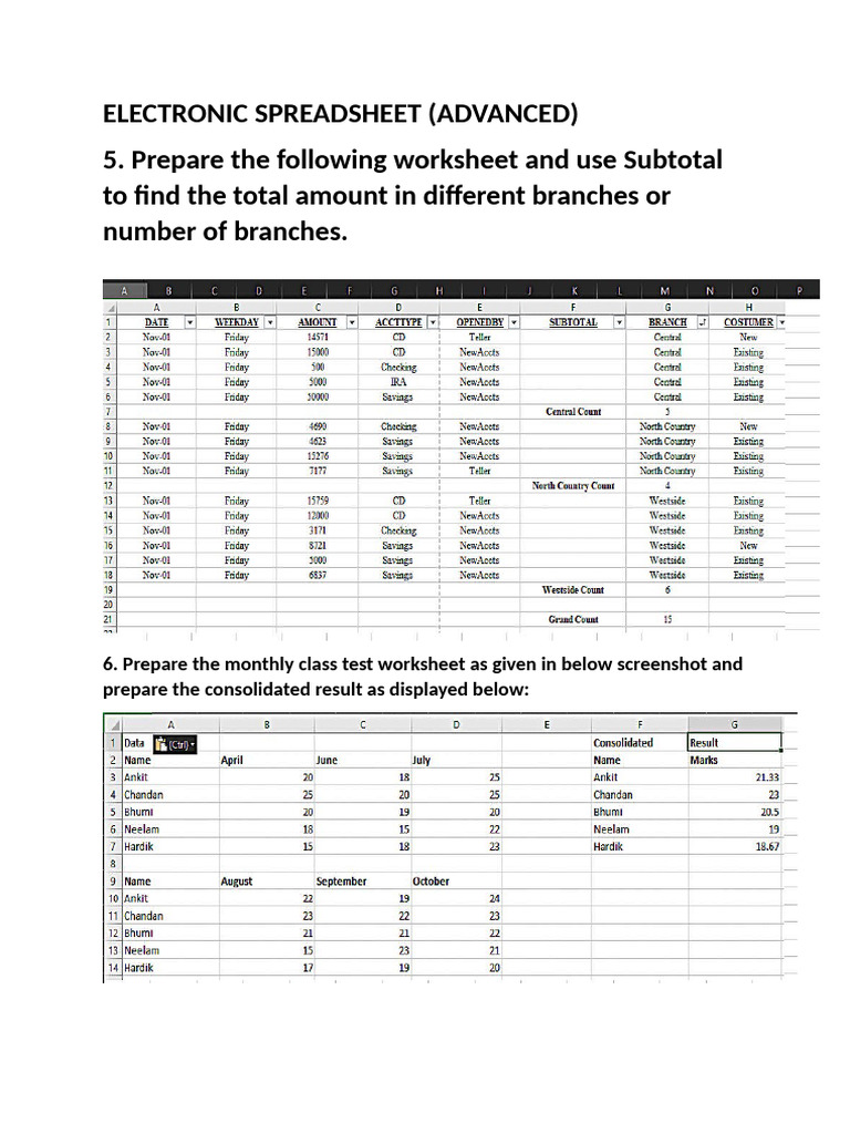 Advanced Electronic Spreadsheet Techniques | PDF