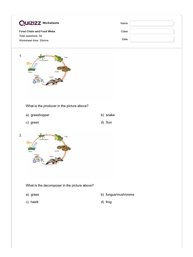 Food Chain and Web Worksheets | PDF | Foods | Food Web