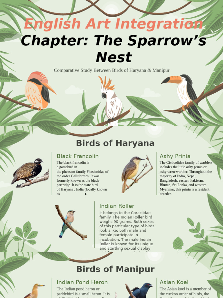 Comparative Study of Haryana & Manipur Birds | PDF | Phasianidae ...