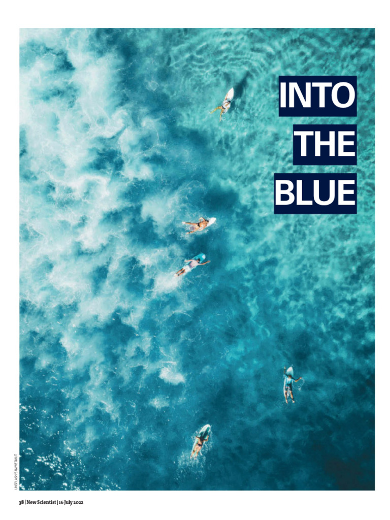 Into The Blue | PDF | Attention | Thought