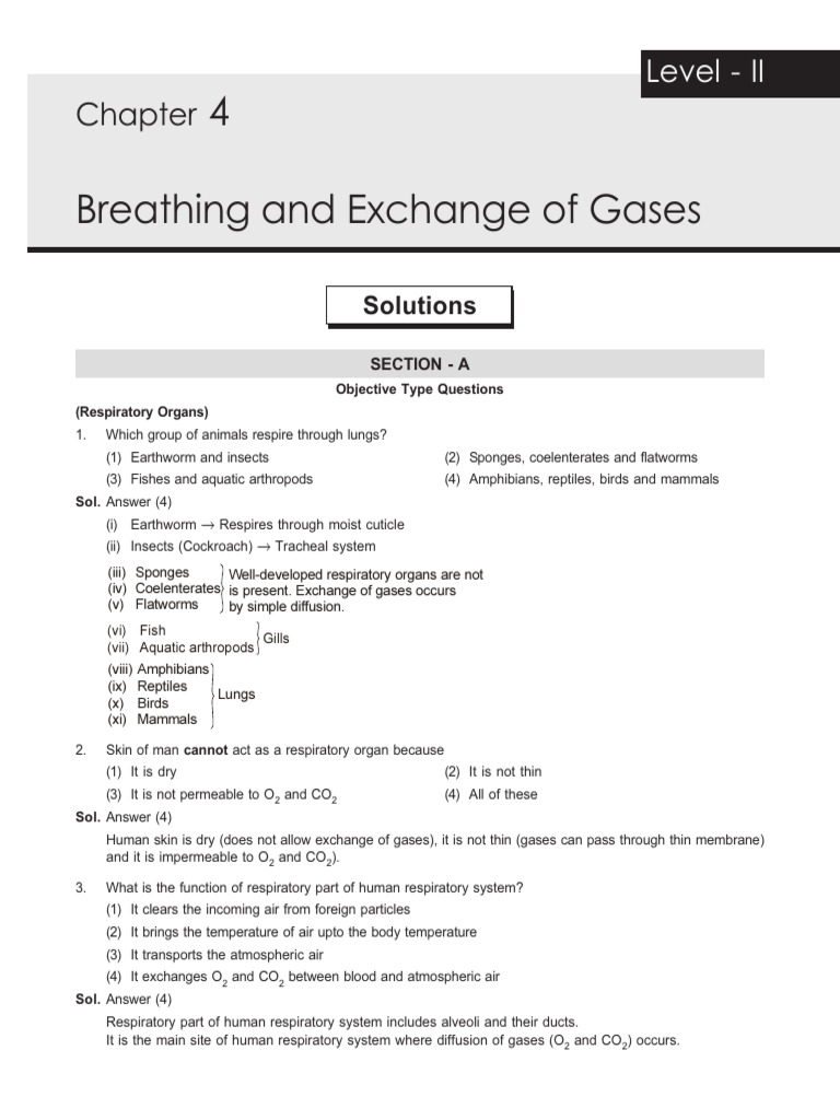 Breathing and Exchange of Gases - 240317 - 232535 - 240318 - 142315 ...