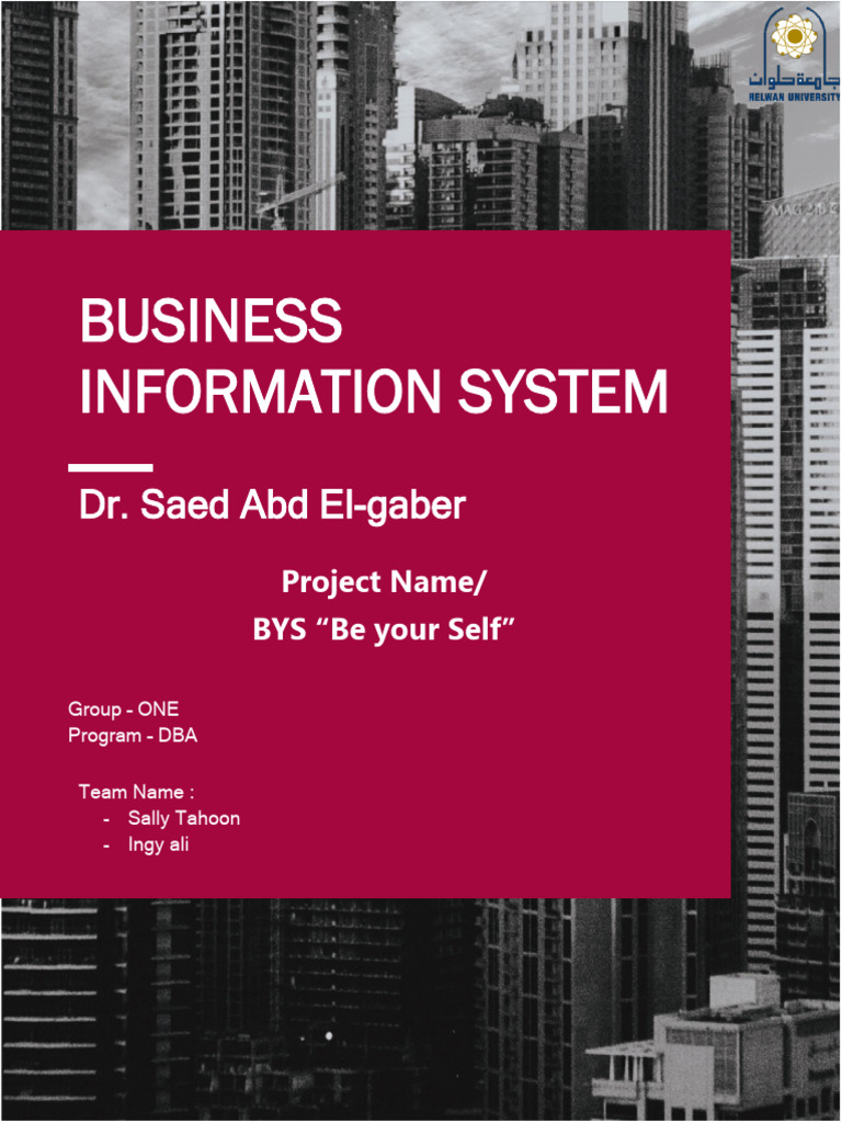 Project - BIS | PDF | Usability | Databases
