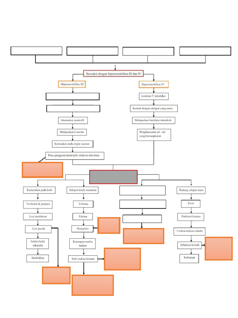 Pathway Toxic Epidermal Necrolysis | PDF