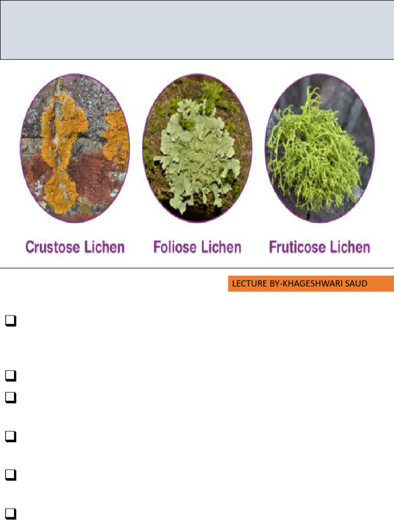 LICHENS | PDF | Organisms | Biology