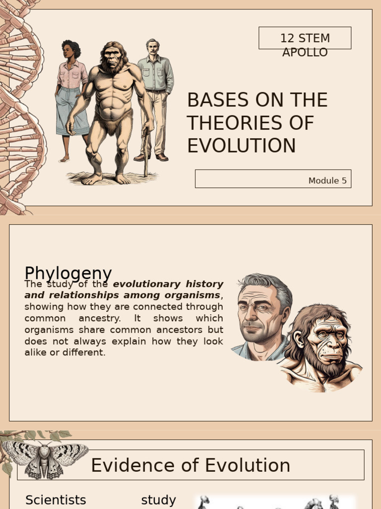 Bases On The Theories of Evolution | PDF | Evolution | Phylogenetics