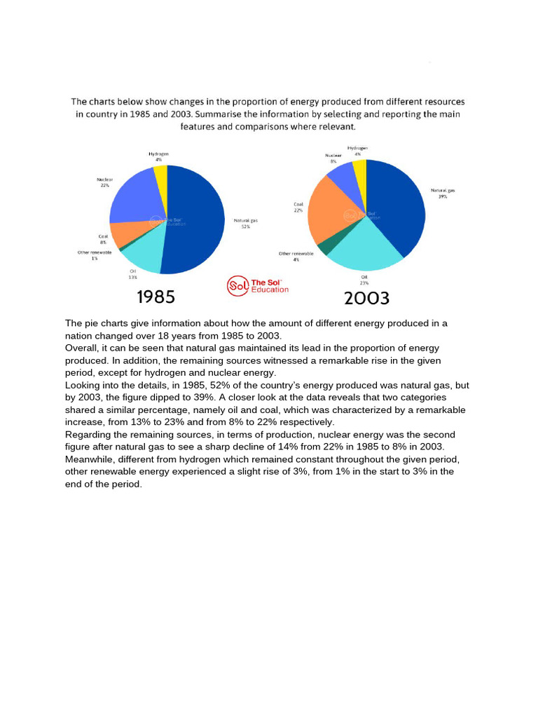 task 1 _ pie chart | PDF