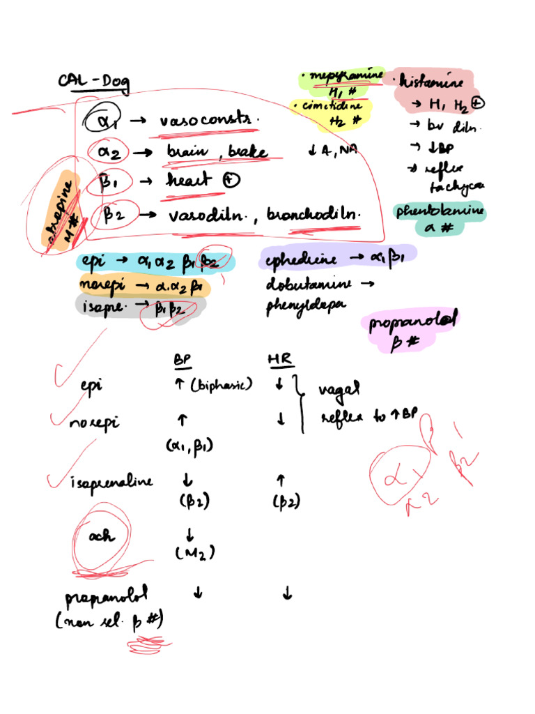 CAL - Dog | PDF