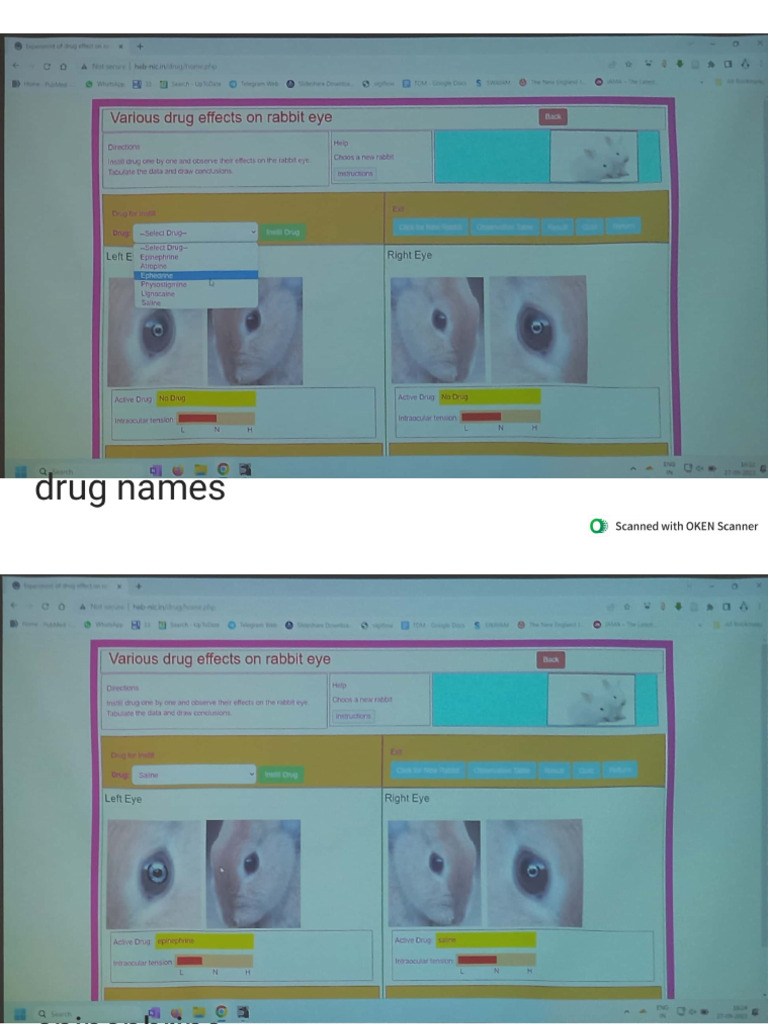 Cal Lab Experiments | PDF