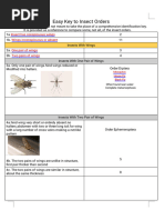 Insect Order Dichotomous Key | PDF | Insects | Arthropods