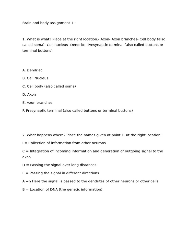 Brain and Body Assignment Guide | PDF