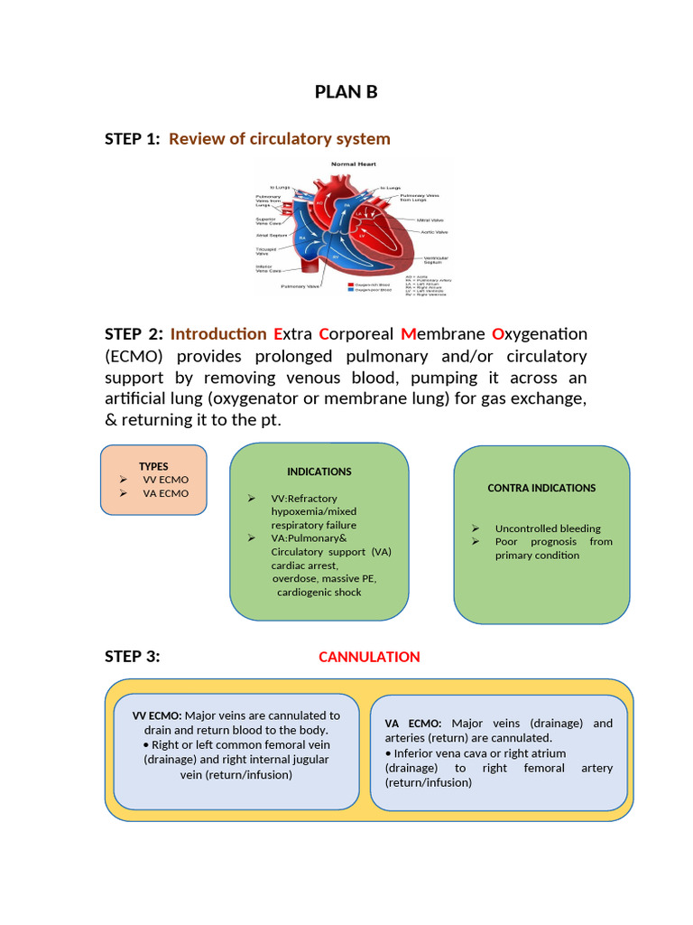 ECMO LAYOUT | PDF | Vein | Cardiovascular System