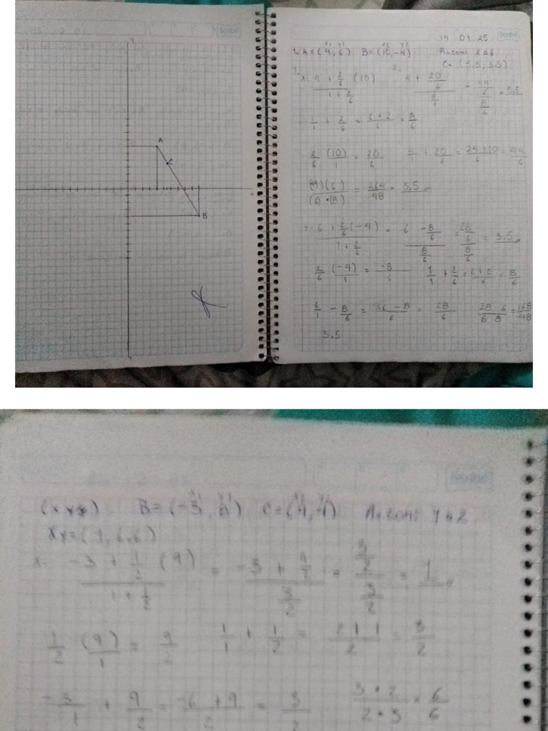 División de Un Segmento. | PDF