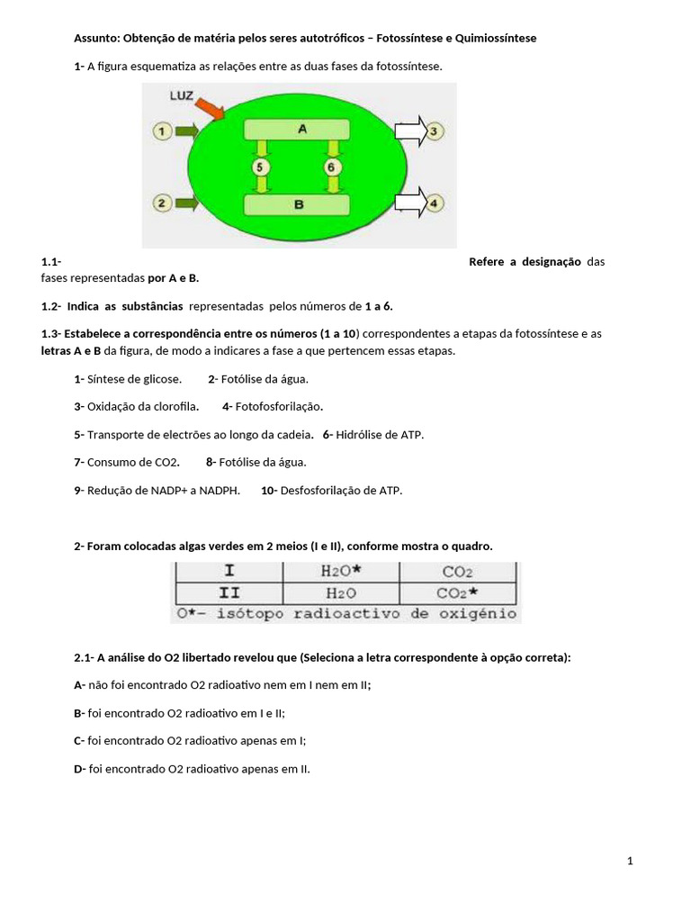 Fotossíntese e Quimiossíntese: Processos Autotróficos | PDF ...