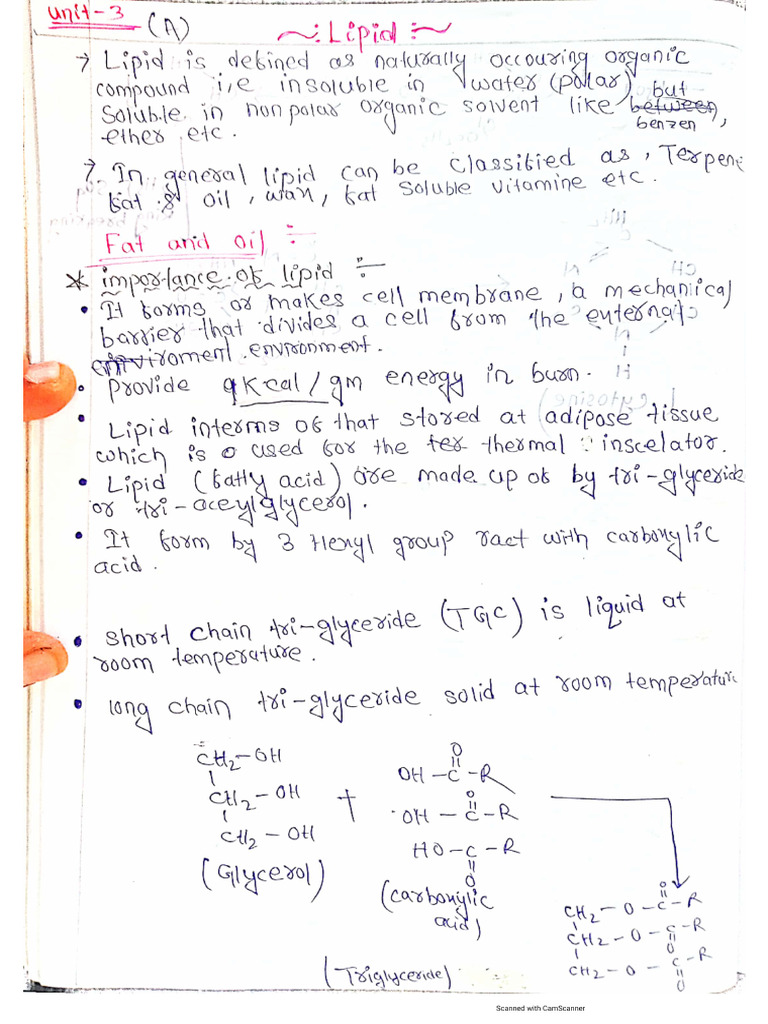 Cc14.,Unit 3 Part (A) Lipids | PDF