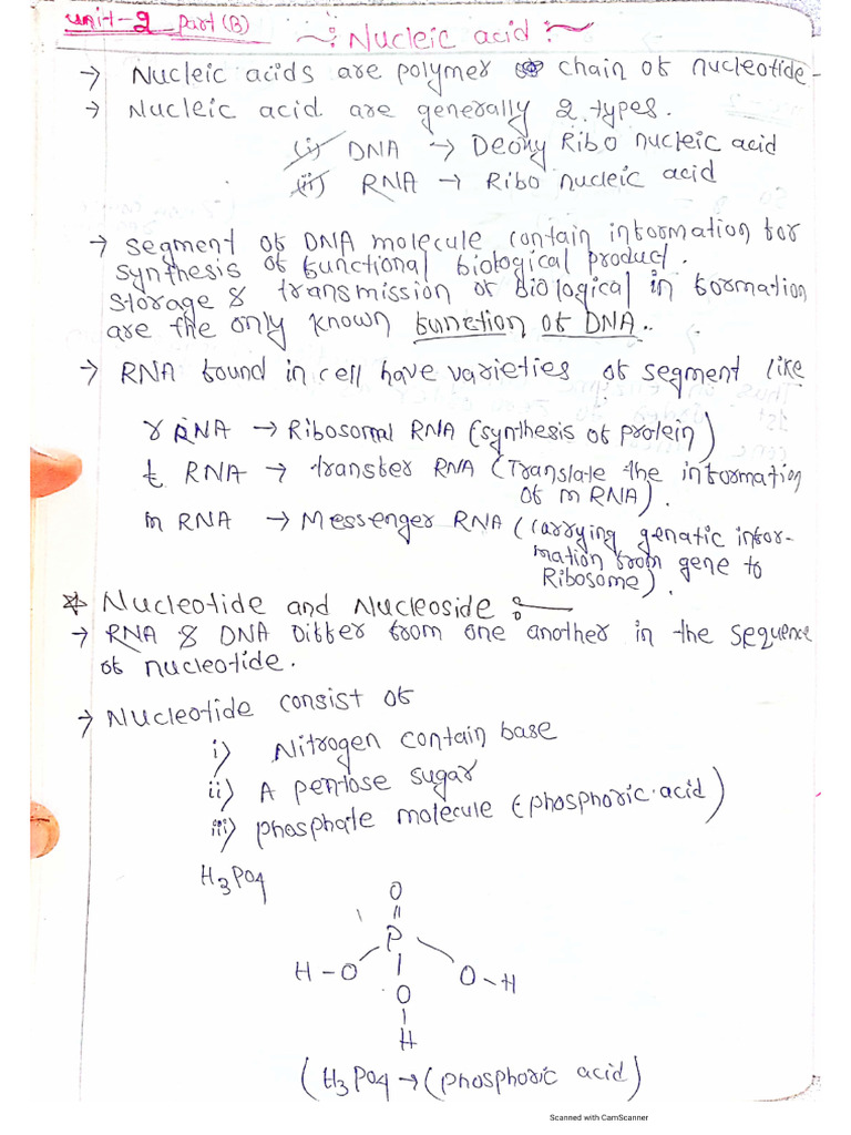 Cc14..Unit 2 , Part(B)..Nucleic Acids | PDF
