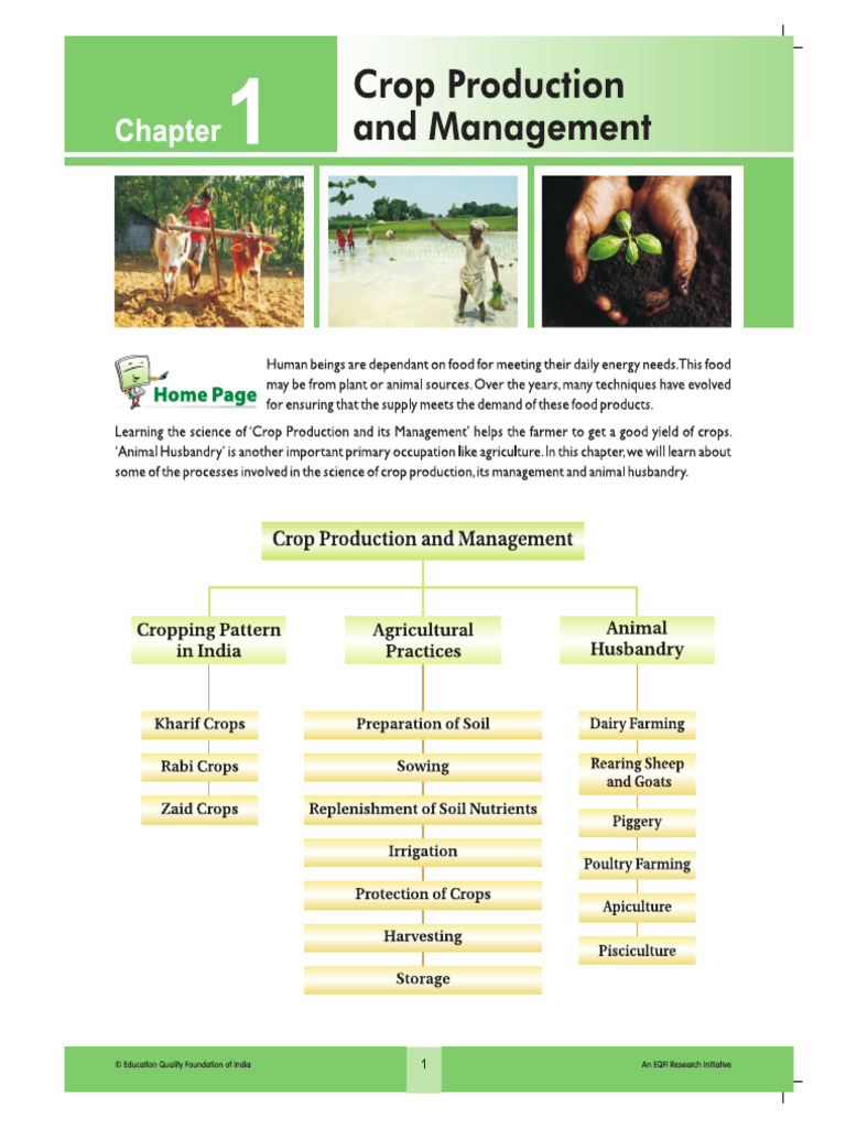 Grade 8 Biology Chapter 1 | PDF