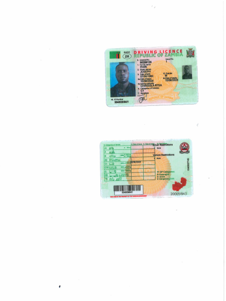 Driveer Licence | PDF