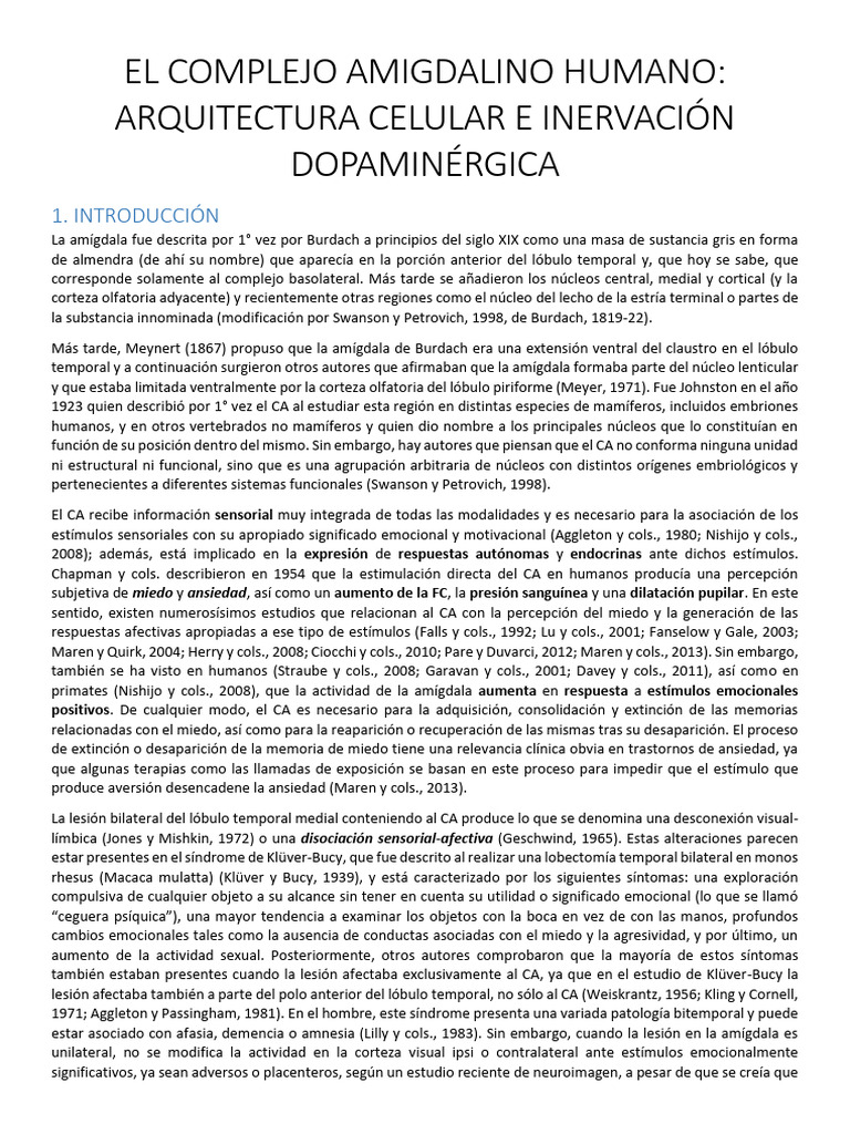 EL COMPLEJO AMIGDALINO HUMANO | PDF | Neurona | Amígdala