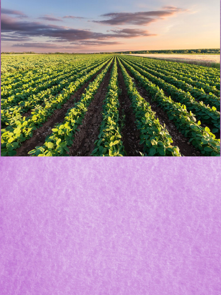 ABE Brochure | PDF