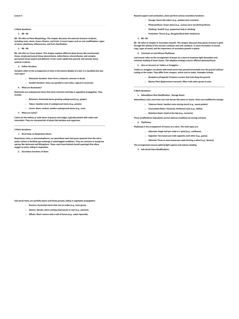 Lesson 3 Botany | PDF | Plant Stem | Leaf