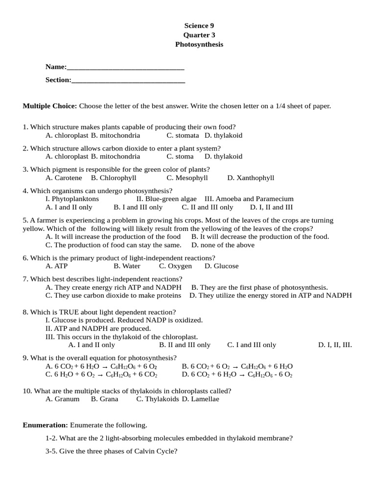 Science 9 Quiz Photosynthesis | PDF | Photosynthesis | Chloroplast