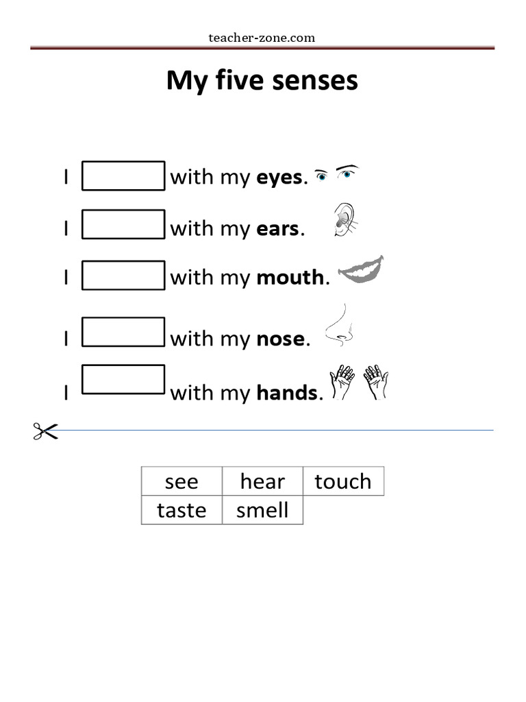 Teacher Zone.com My 5 Senses 2 | PDF