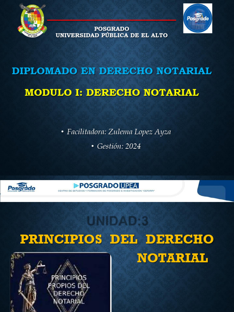 Principios Notariales | PDF | Ley común | Justicia