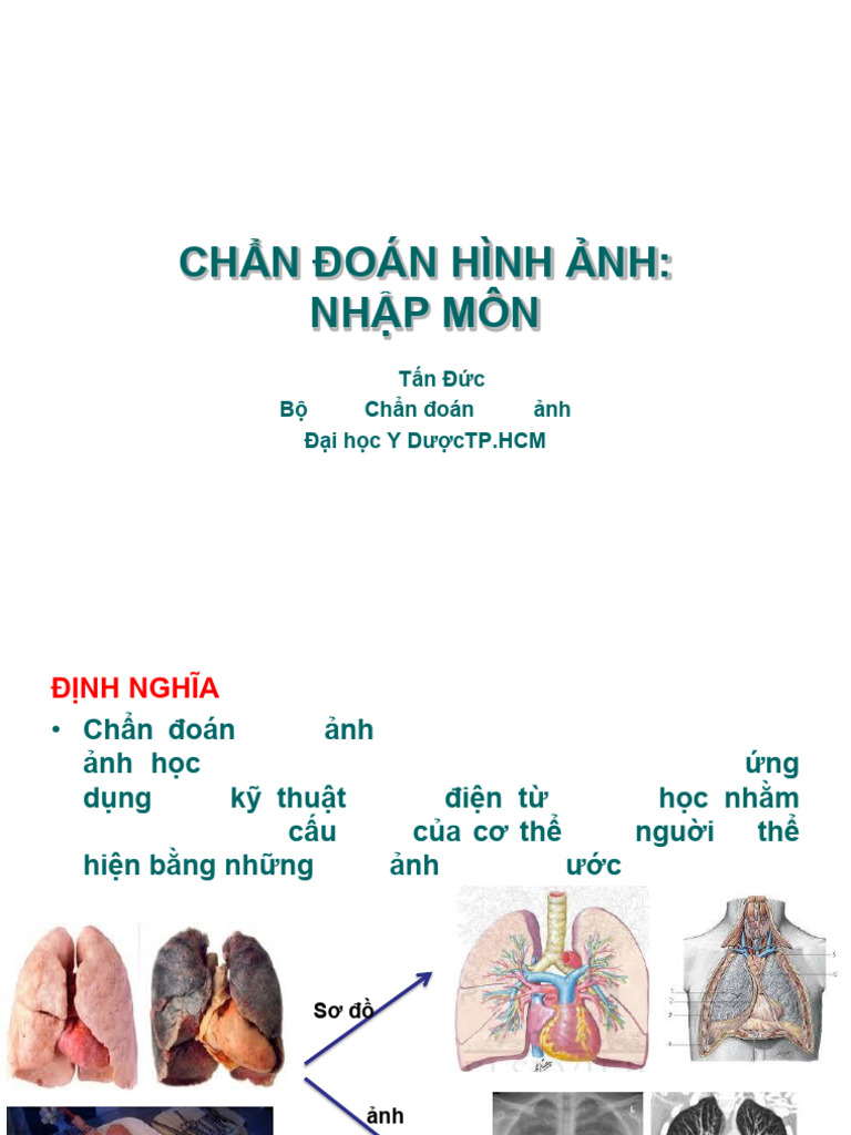 Cdha - NM | PDF
