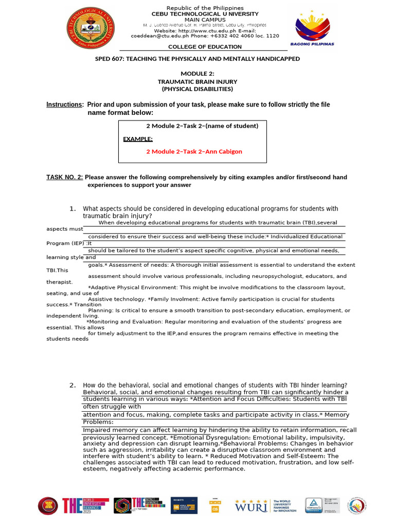 Educational Strategies for TBI Students | PDF | Traumatic Brain Injury ...